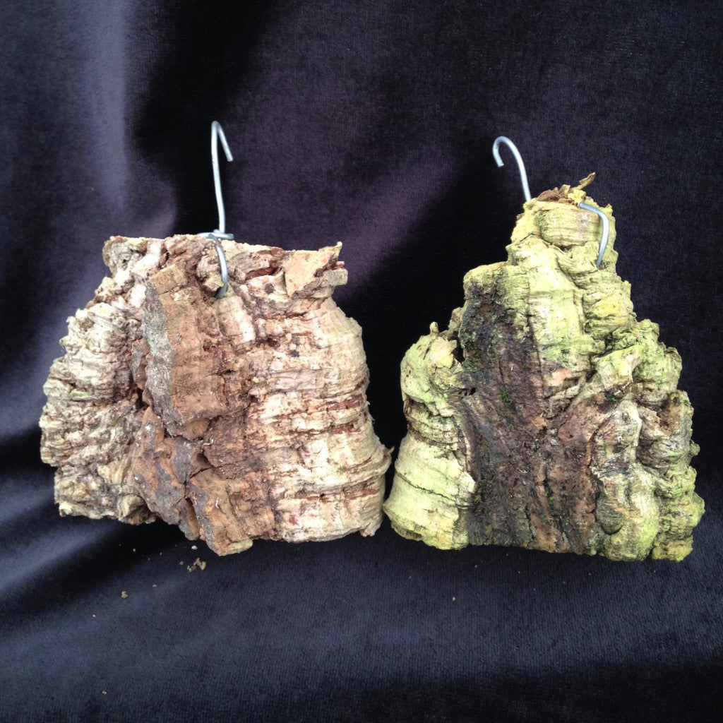 Cork Mounting Slab – Golden Gate Orchids